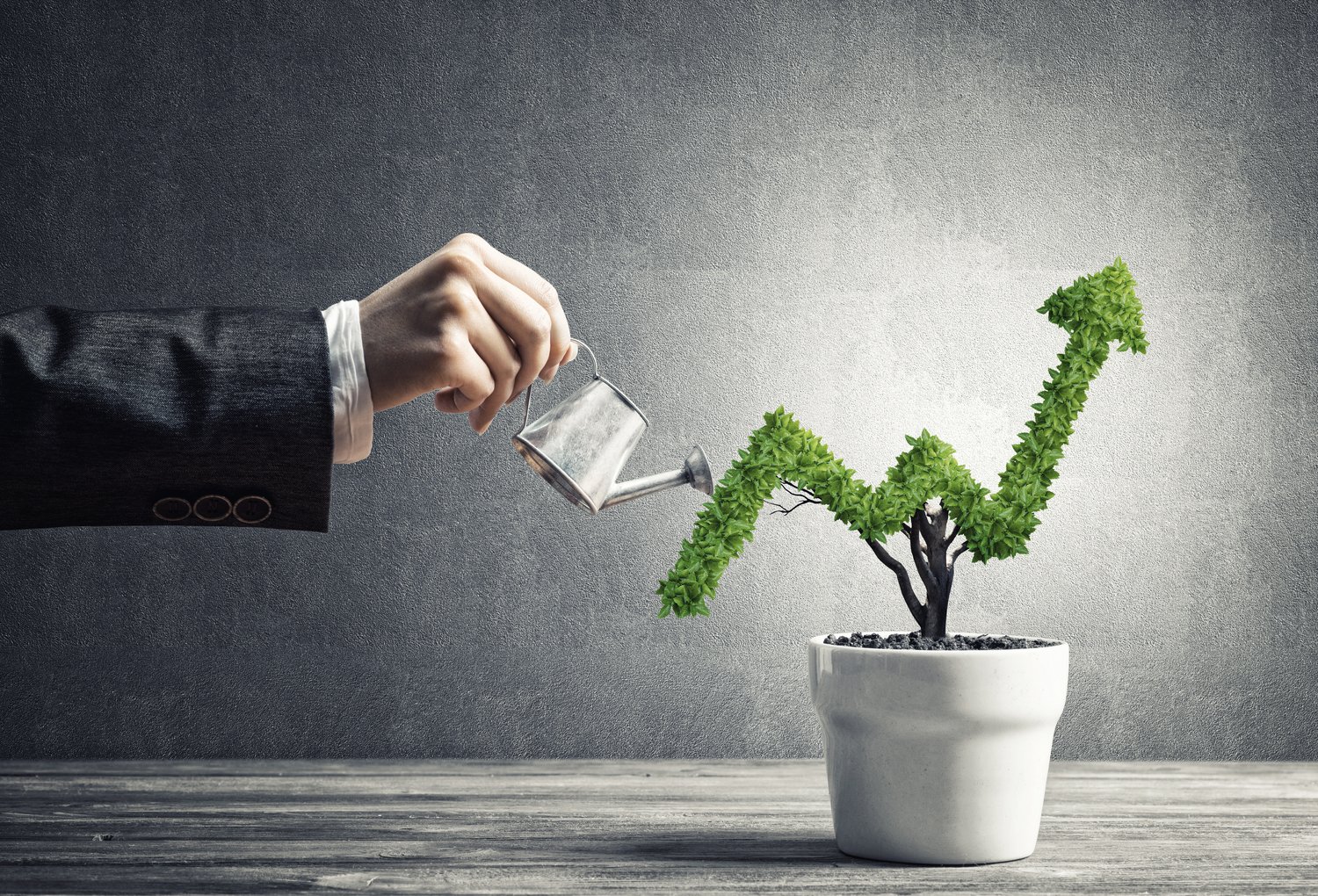 Increase Profits with 14 Key Strategies So Your Business Can Grow