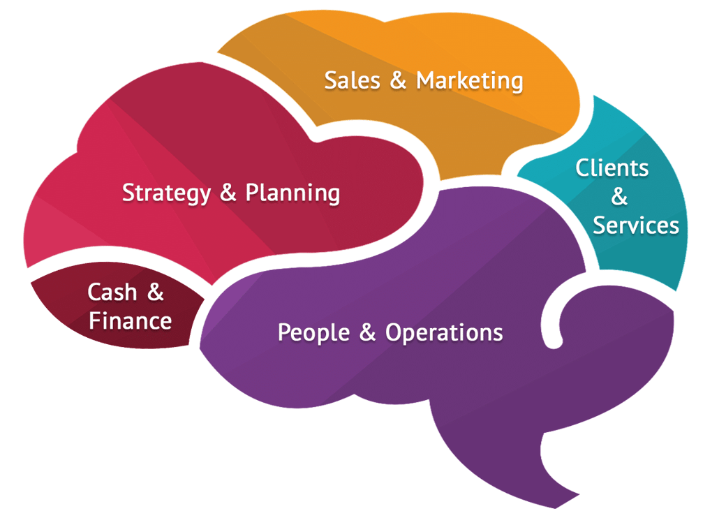 The CEO's Guide to Keeping Score