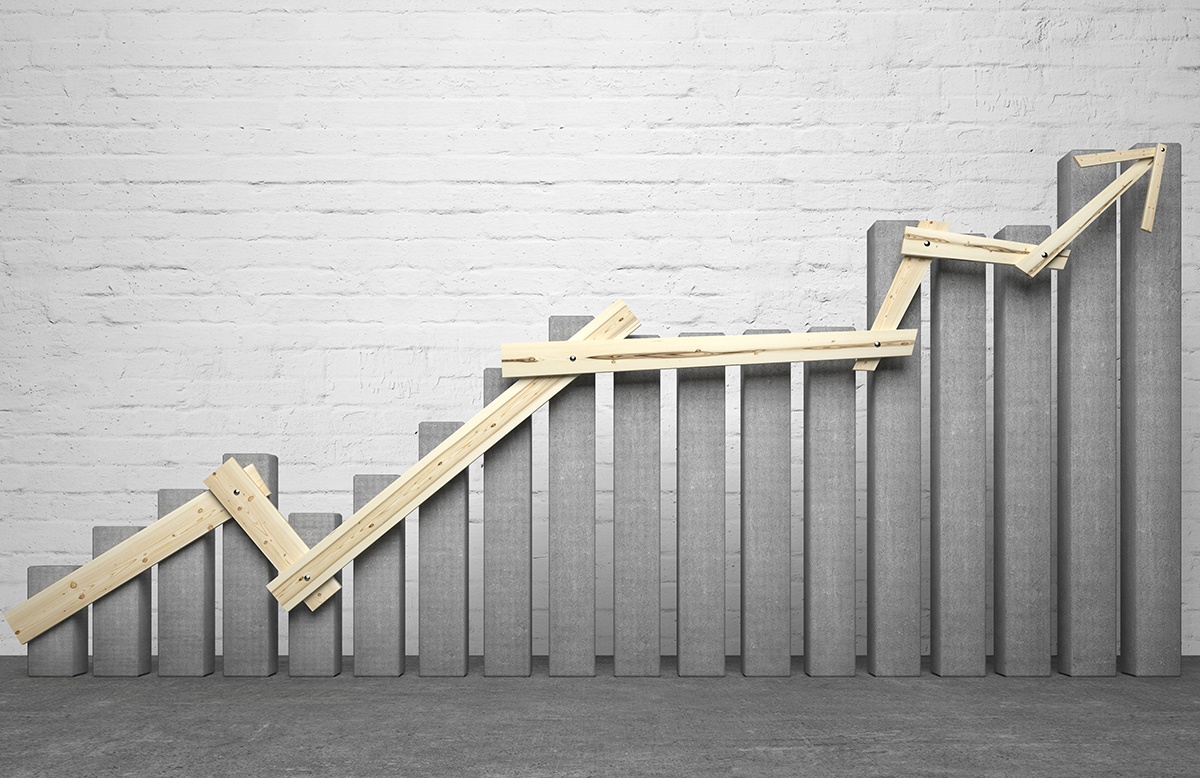 Beyond the Startup: The Small Business Growth Phase