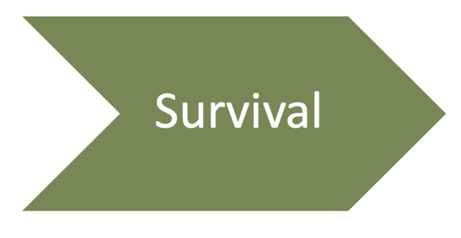 Your Guide To The 5 Stages of Business Growth